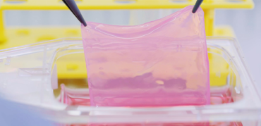 CUTISS and Tecan to advance bioengineered human skin tissue ...